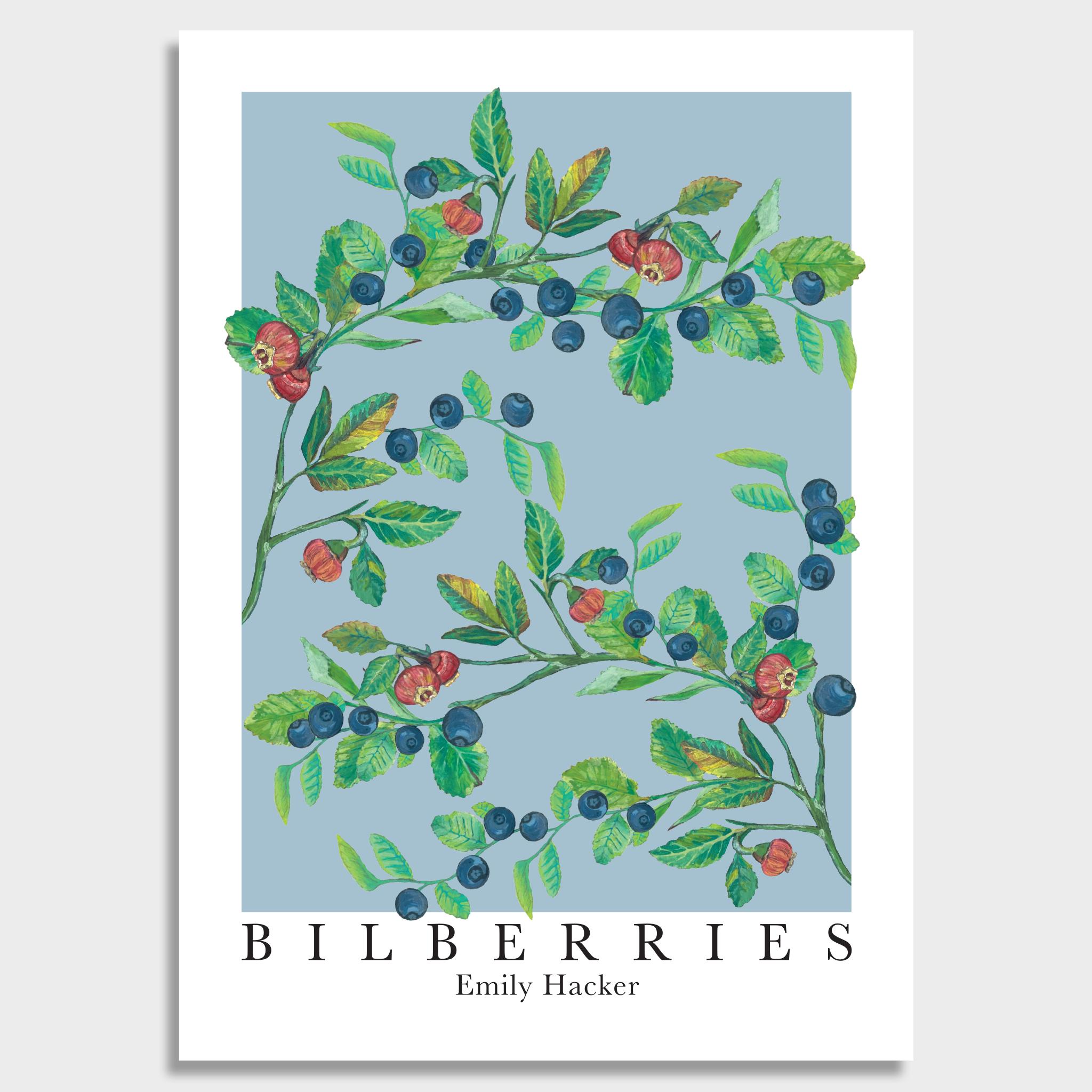 Bilberry Blue Art Print – Emily Hacker
